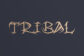 50+ Best Tribal Fonts (FREE / Premium) 2024 | Hyperpix