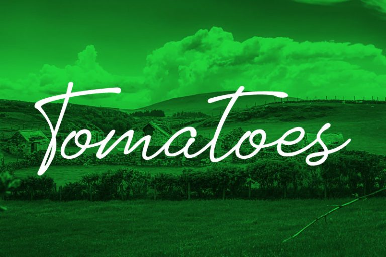 55+ Best Farmhouse Fonts (FREE / Premium) 2021 | Hyperpix