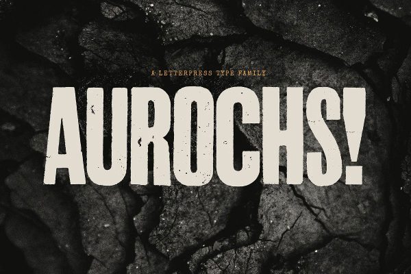 75+ Best Distressed Fonts (FREE / Premium) 2024 | Hyperpix