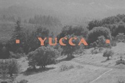 85+ Best Camping and Hiking Fonts (FREE / Premium) 2024 | Hyperpix