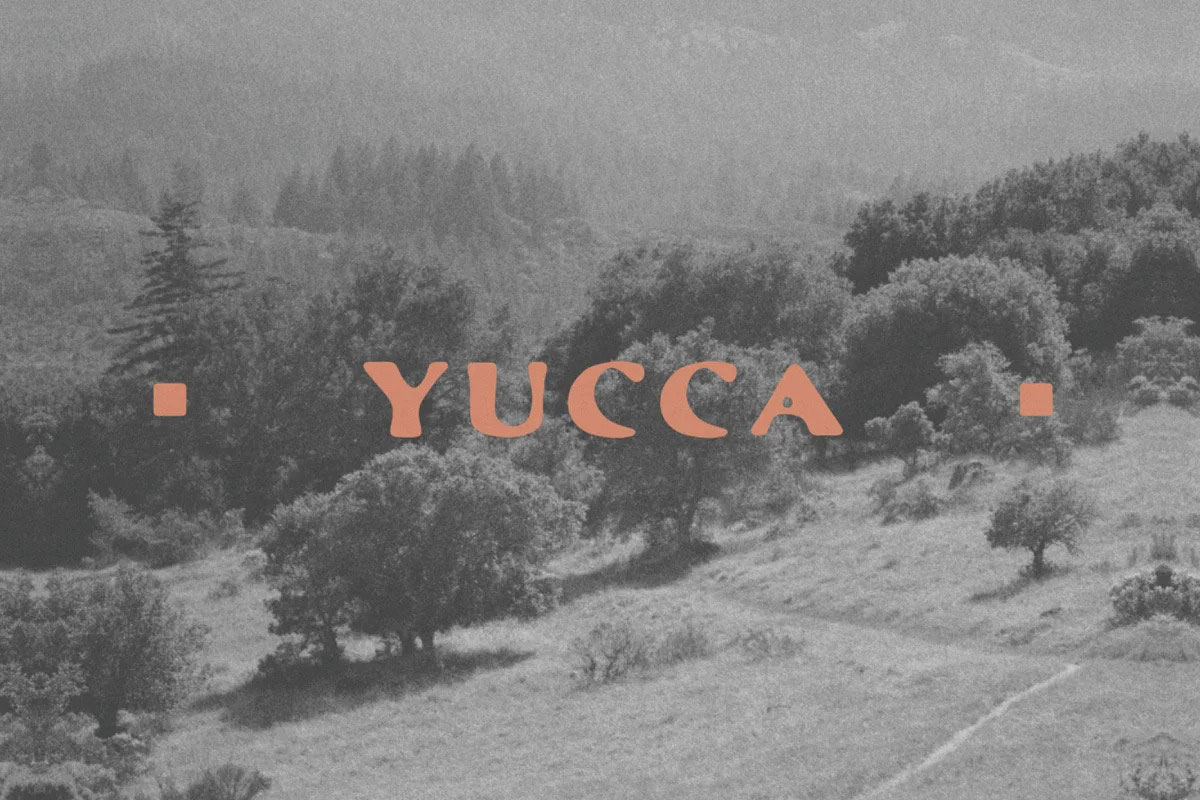 85+ Best Camping and Hiking Fonts (FREE / Premium) 2024 | Hyperpix