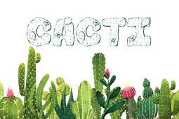 25+ Best Cactus Fonts (FREE / Premium) 2024 | Hyperpix