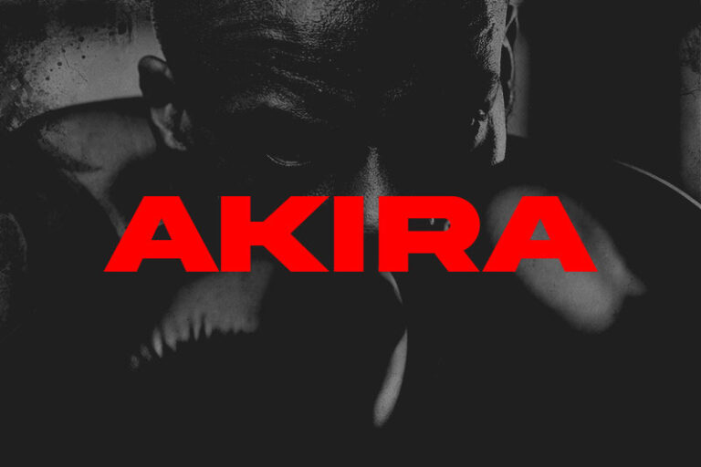 50+ Best Free and Premium Wrestling Fonts 2020 | Hyperpix