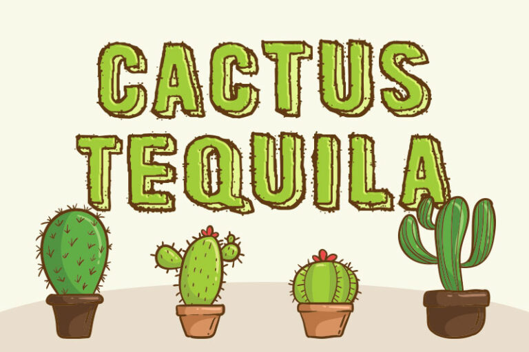 25+ Best Cactus Fonts (FREE / Premium) 2024 | Hyperpix