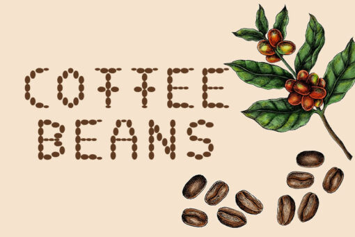 Best Coffee Fonts [FREE / Premium] 2024 | Hyperpix