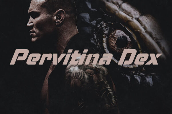 50+ Best Wrestling Fonts (FREE / Premium) 2024 | Hyperpix