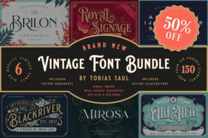 65+ Best Royal Fonts (FREE / Premium) 2024 | Hyperpix