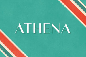 Best 1950s Fonts (FREE / Premium) 2024 | Hyperpix