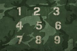 80+ Best Number Fonts (FREE / Premium) 2024 | Hyperpix