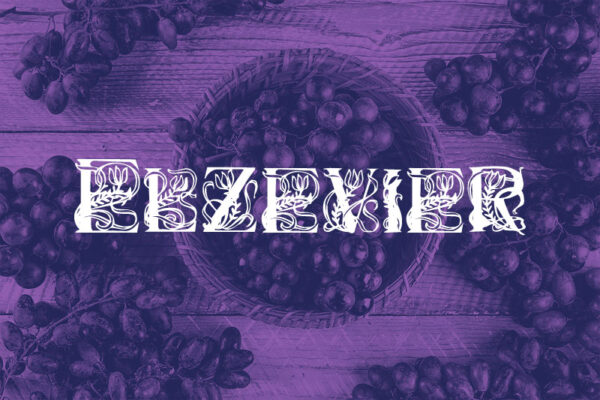 Best Vine Fonts (FREE / Premium) 2021 | Hyperpix