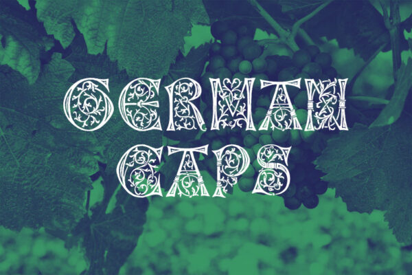 Best Vine Fonts (FREE / Premium) 2021 | Hyperpix