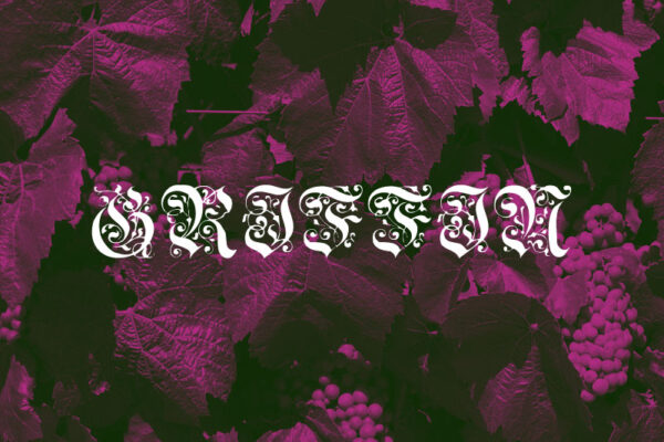 Best Vine Fonts (FREE / Premium) 2021 | Hyperpix