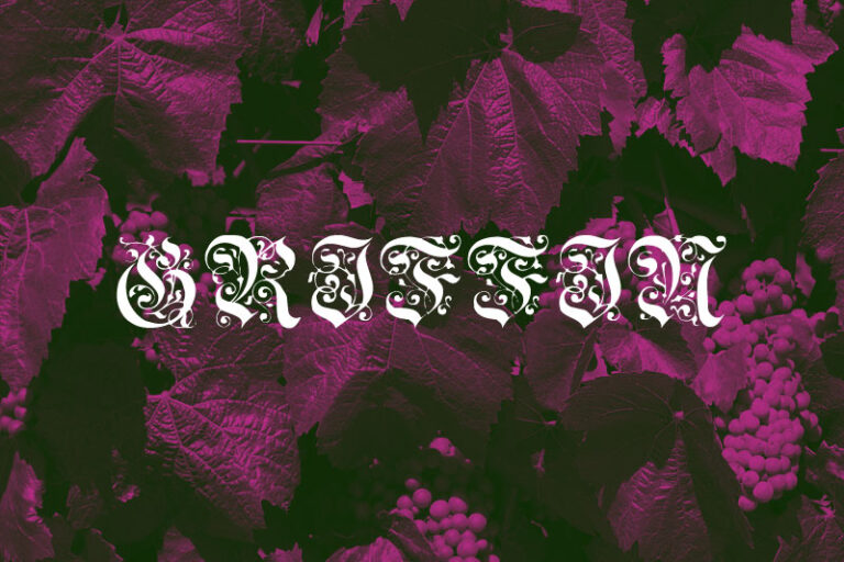 Best Vine Fonts (FREE / Premium) 2021 | Hyperpix