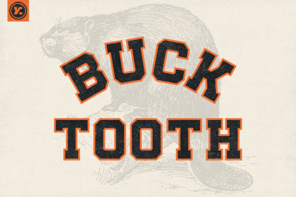 80+ Best Block Fonts (FREE / Premium) 2024 | Hyperpix