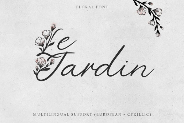 Best Vine Fonts (FREE / Premium) 2024 | Hyperpix