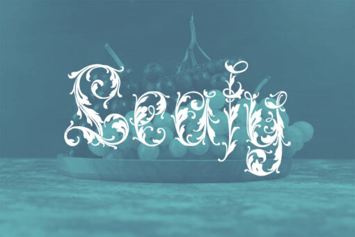 Best Vine Fonts (FREE / Premium) 2021 | Hyperpix