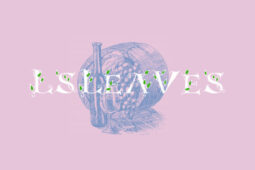 Best Vine Fonts (FREE / Premium) 2024 | Hyperpix