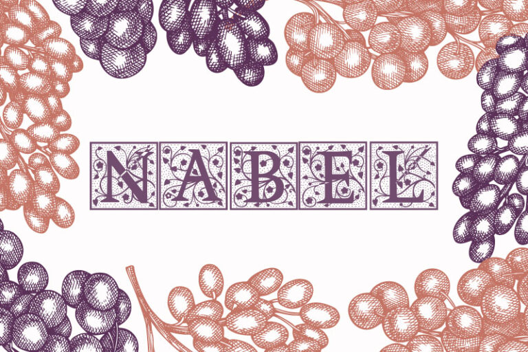 Best Vine Fonts (FREE / Premium) 2024 | Hyperpix