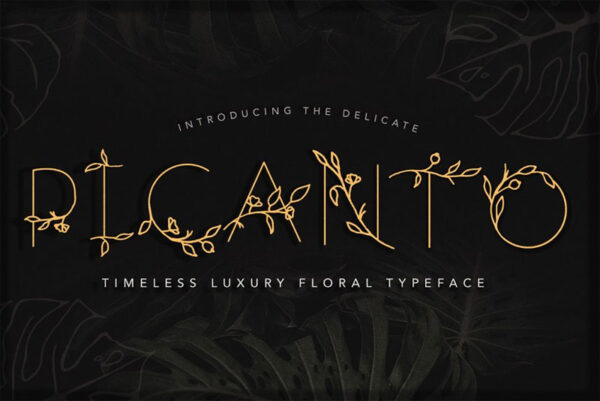 Best Vine Fonts (FREE / Premium) 2021 | Hyperpix