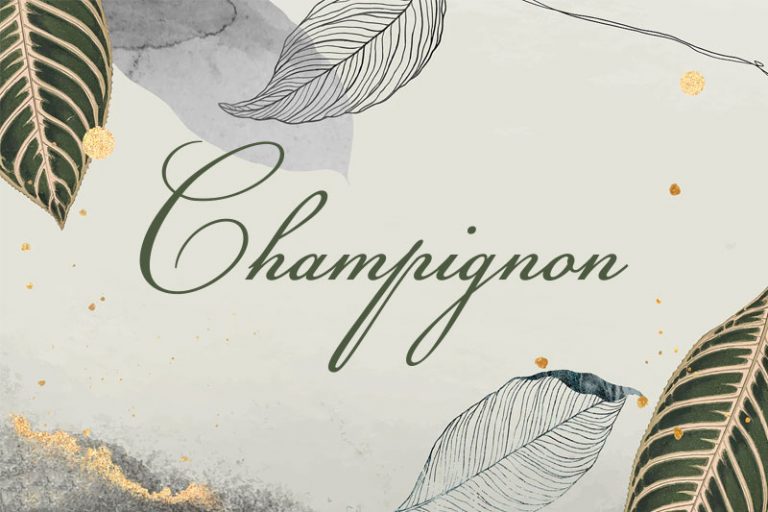 Best Thank You Fonts (FREE / Premium) 2024 | Hyperpix