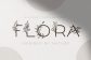 Best Flower Fonts [FREE / Premium] 2021 | Hyperpix
