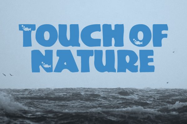 70+ Best Outdoor Fonts (FREE / Premium) 2024 | Hyperpix