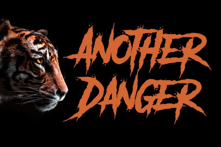 85+ Best Animal Fonts (FREE / Premium) 2024 | Hyperpix