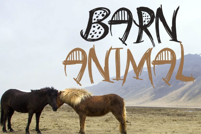 85+ Best Animal Fonts (FREE / Premium) 2021 | Hyperpix
