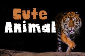 85+ Best Animal Fonts (FREE / Premium) 2024 | Hyperpix