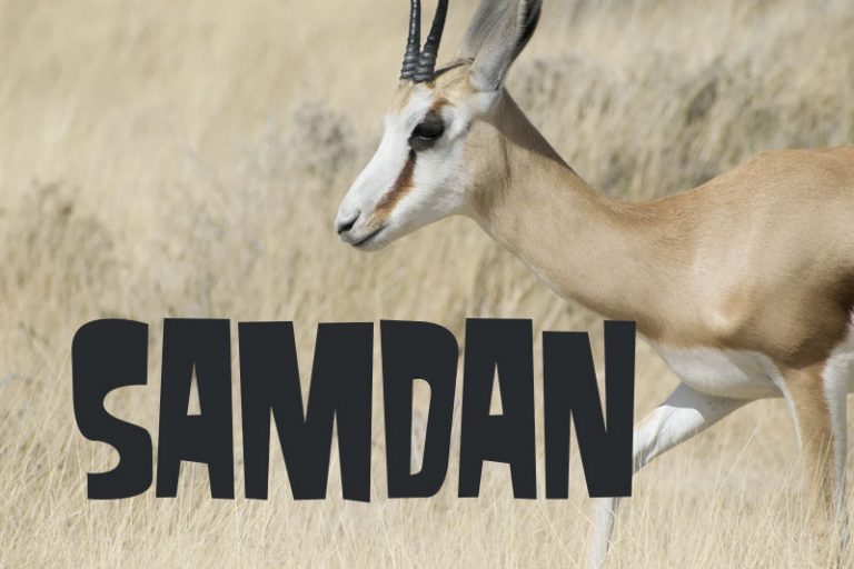 85+ Best Animal Fonts (FREE / Premium) 2021 | Hyperpix