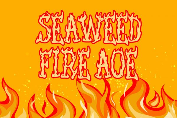 Best Fire and Flame Fonts (FREE / Premium) 2021 | Hyperpix