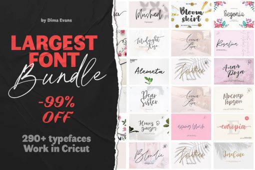 45+ Best Hawaiian Fonts (FREE / Premium) 2024 | Hyperpix