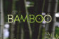 20+ Best Bamboo Fonts (FREE / Premium) 2024 | Hyperpix