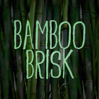 25 Best Free and Premium Bamboo Fonts 2020 | Hyperpix