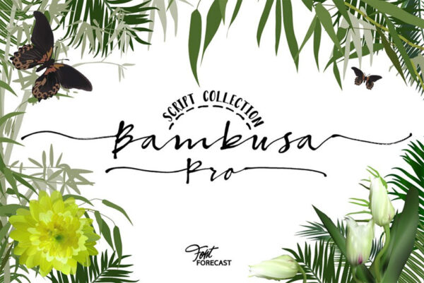 20+ Best Bamboo Fonts (FREE / Premium) 2024 | Hyperpix