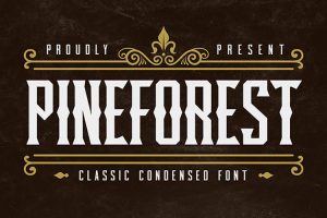 65+ Best Whiskey Fonts (FREE / Premium) 2024 | Hyperpix