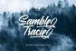 85+ Best Travel Fonts (Free / Premium) 2024 | Hyperpix